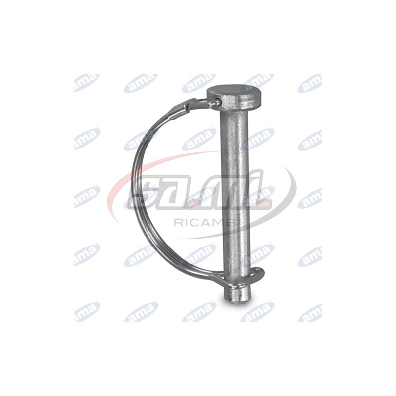 PERNI, SPINE E COPPIGLIE